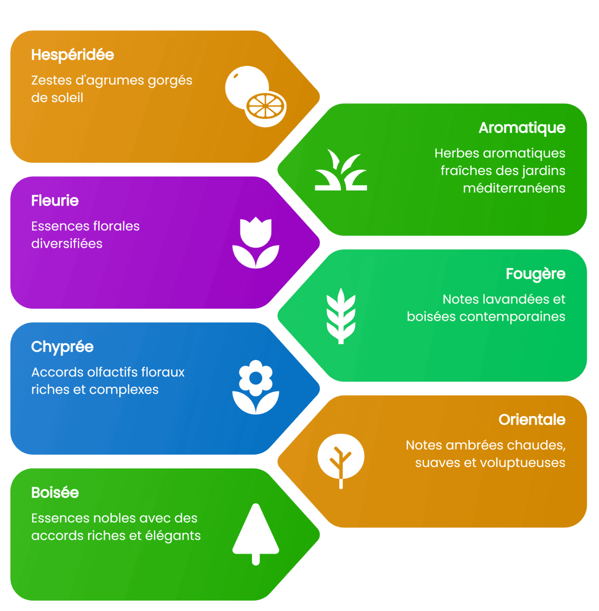 Les 7 familles olfactives de parfum et leurs facettes
